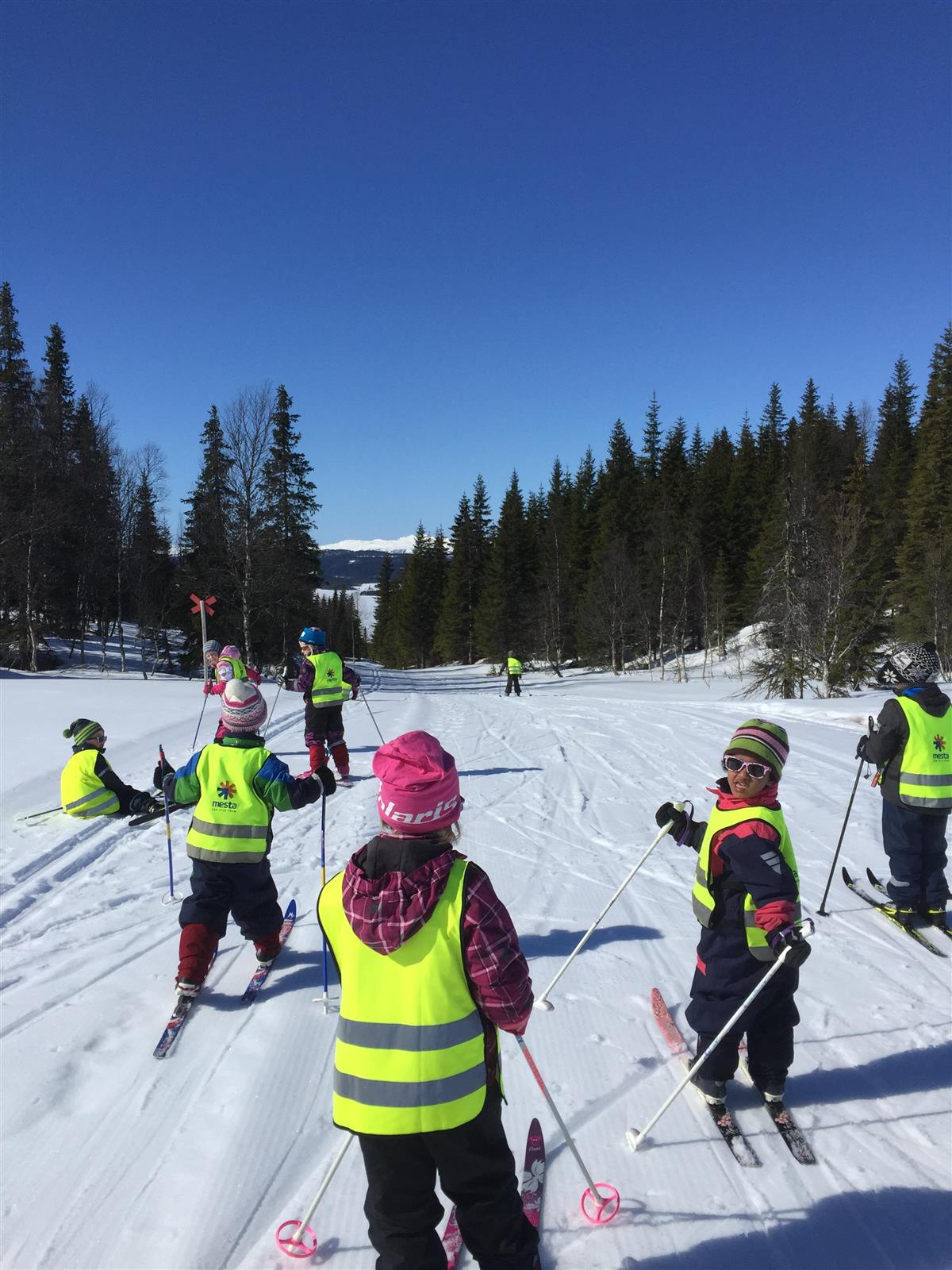 Barnehager - Lierne kommune
